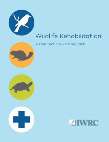 Wildlife Rehabilitation: A Comprehensive Approach - International ...